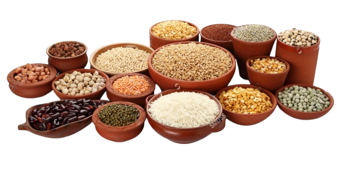VIPL - Your Trusted Source for Authentic Indian Spices!